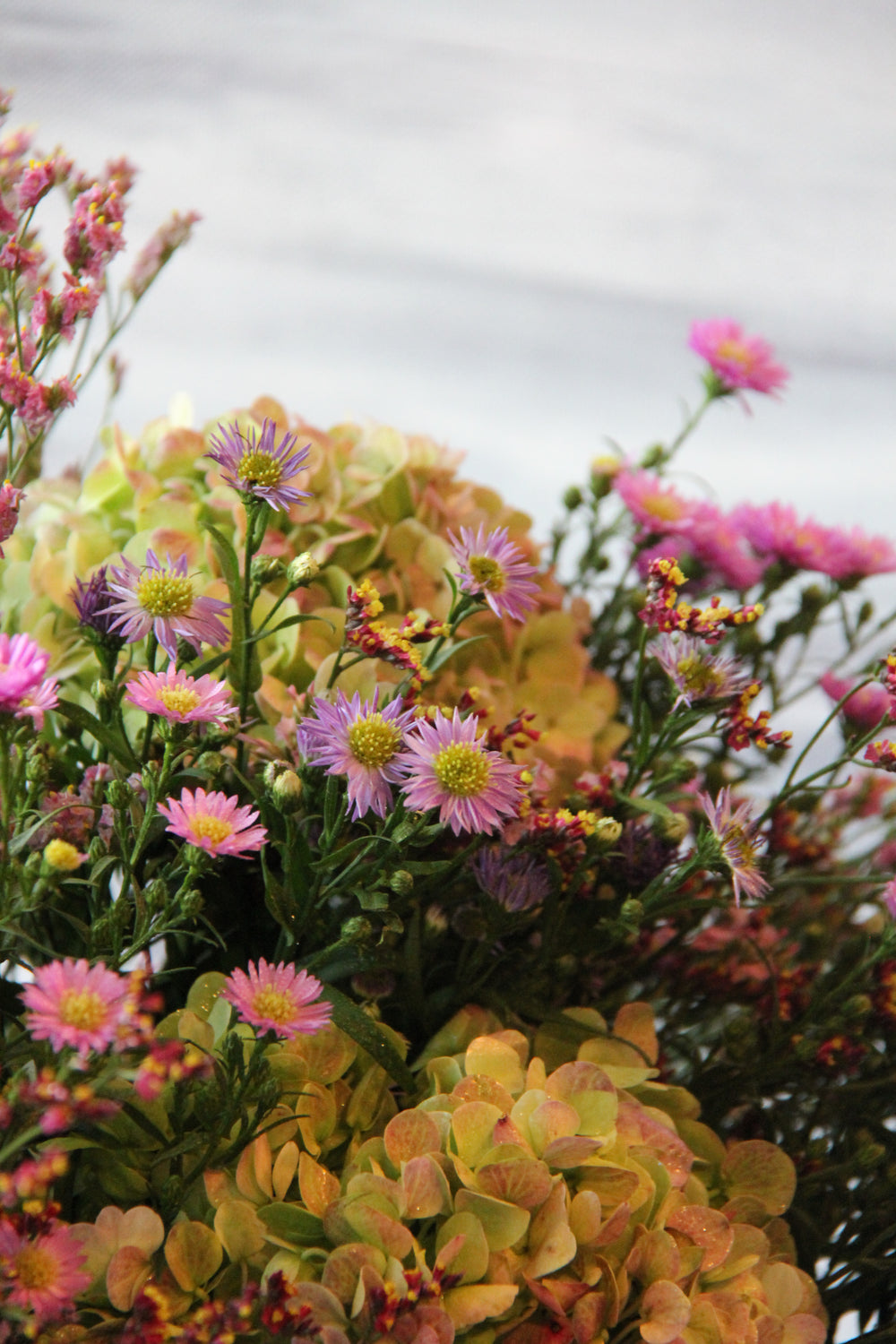 Flores Online | Bucaro